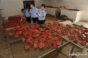 Fake Beef Seized in China -- Coming Soon to a Dog Food Near You? | Dog ...